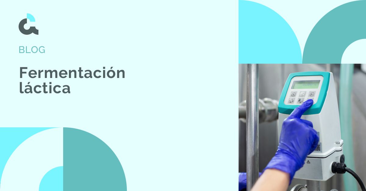 ¿Qué es la fermentación láctica en la indistria alimentaria?